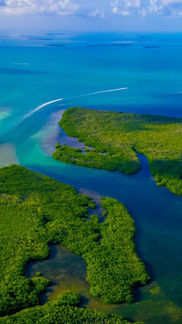 Attractions in Upper and Middle Florida Keys | Freewheeler Vacations